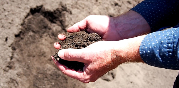 Buy Compost | Compost Connect