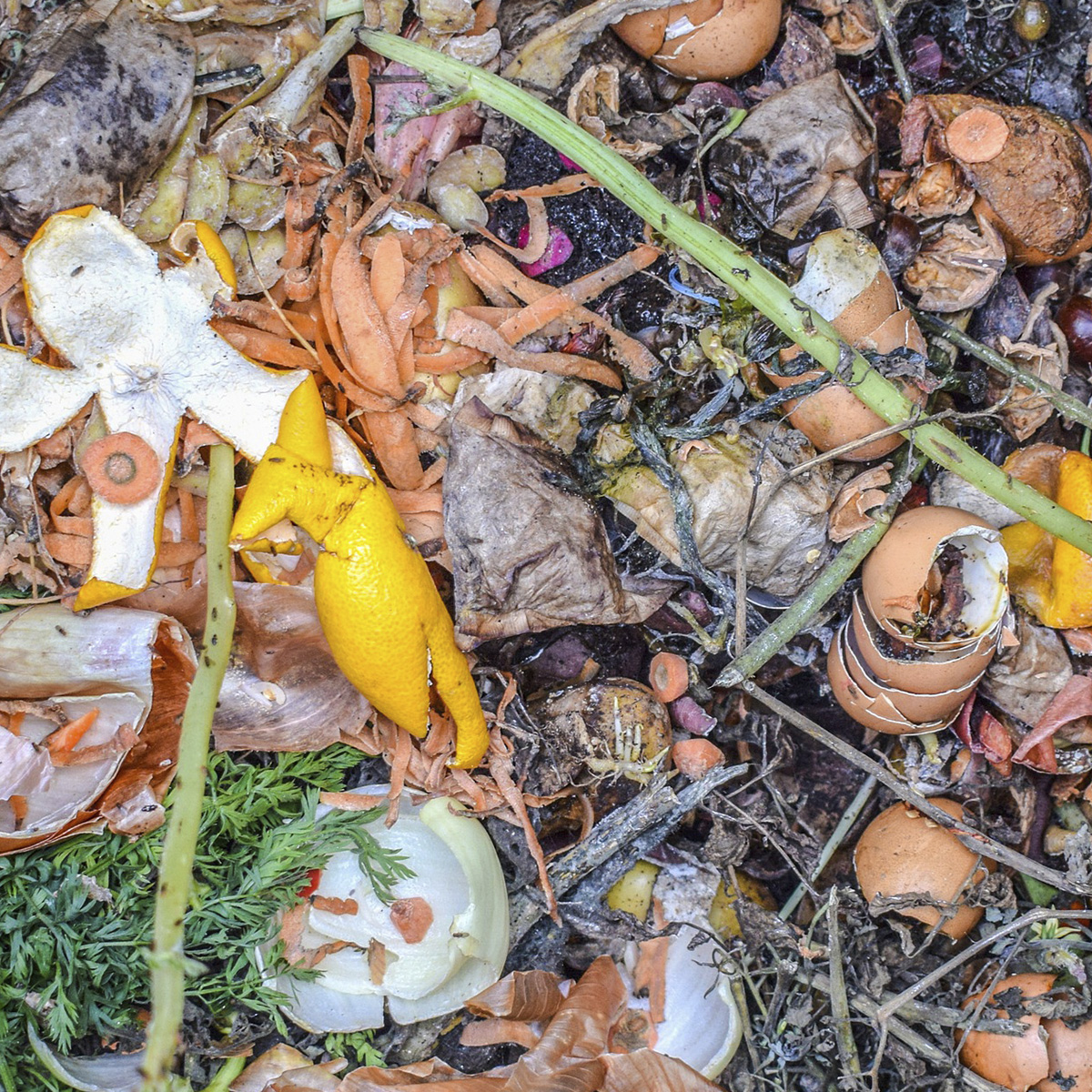 Australian Councils Composting - Compost Connect