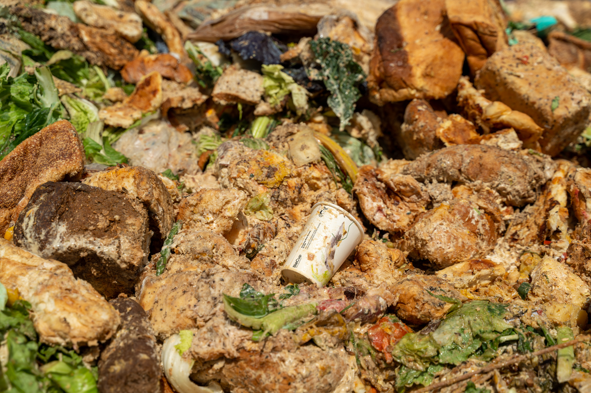 Composting for Beginners - Compost Connect