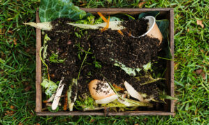 Different Types of Composting Methods