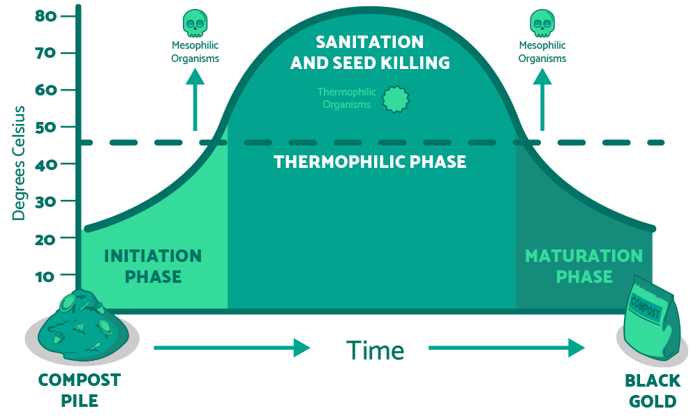 What Is Composting? Nature’s Recycling – Compost Connect