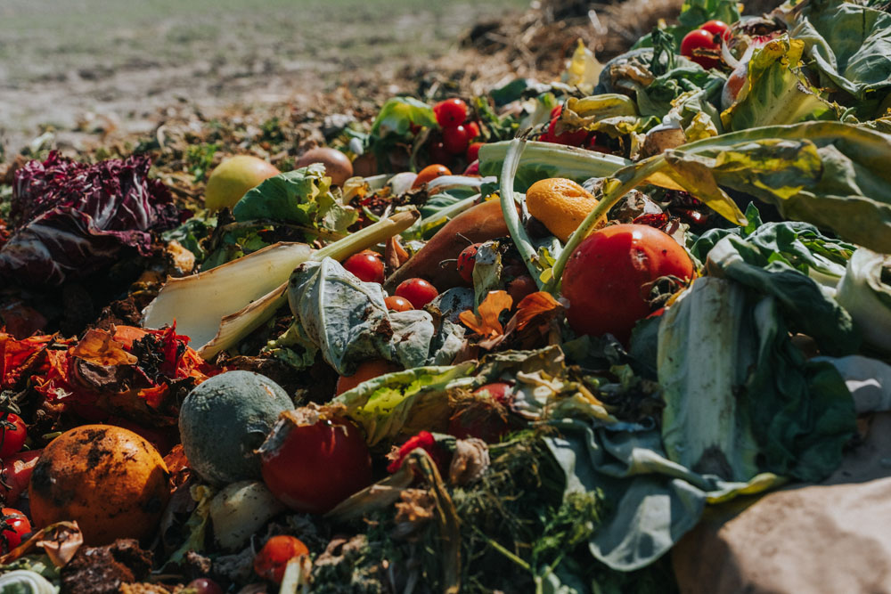 What Happens to Food Waste in Landfills? Compost Connect