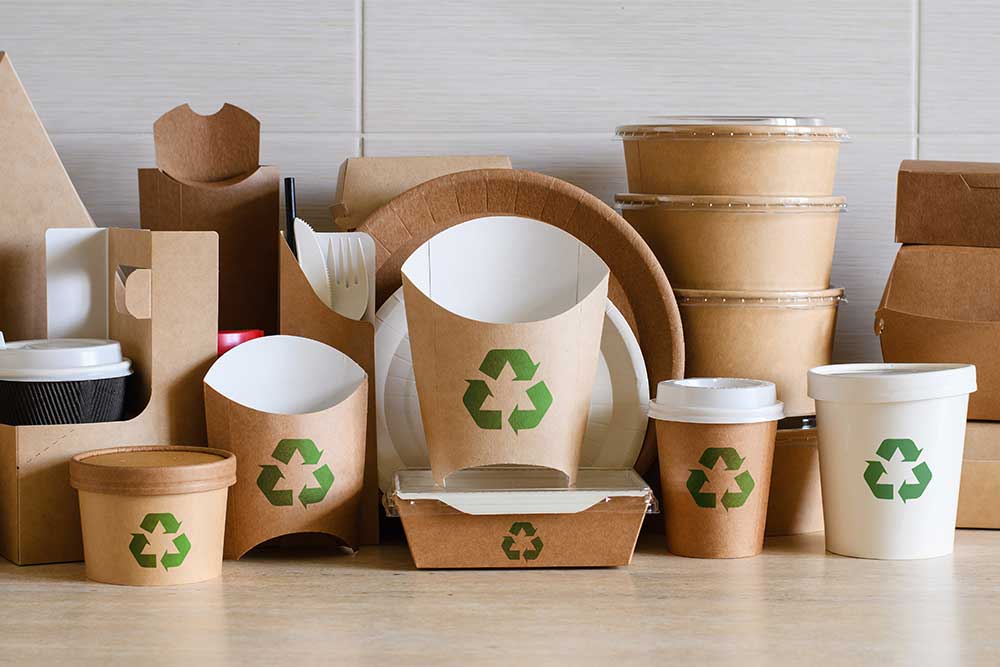 Biodegradable vs Compostable