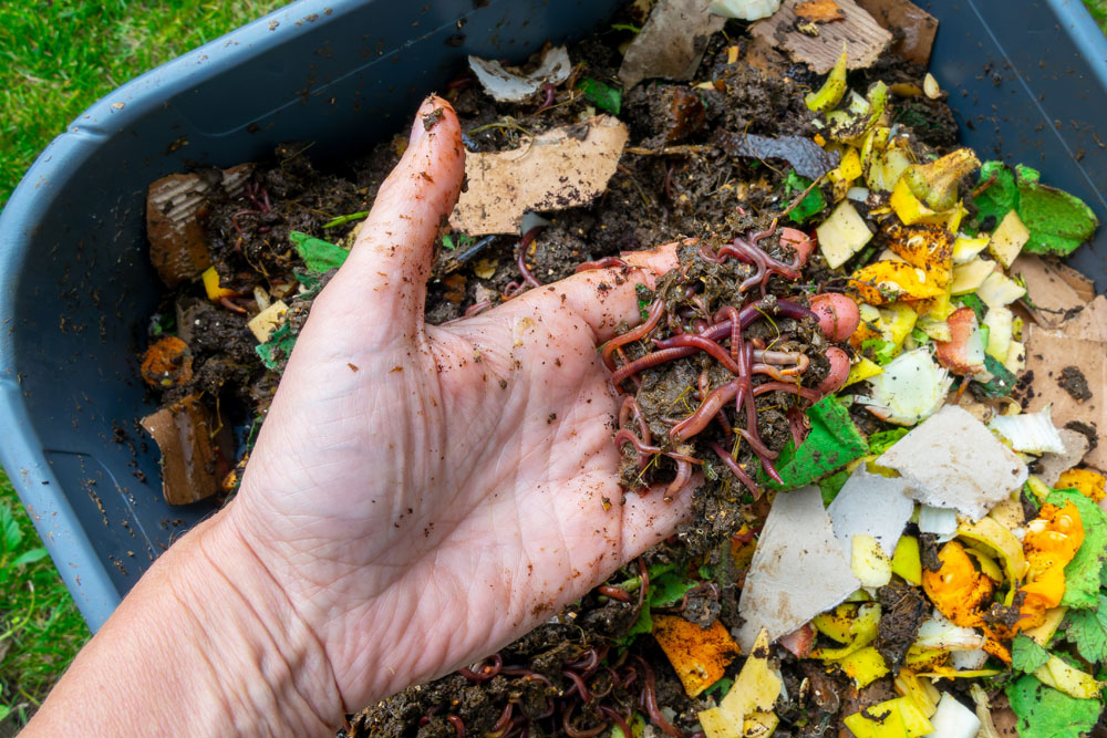 Different Types of Composting Methods